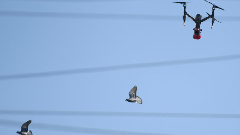 Jordan starts deploying drones to fight the virus pandemic – Ya Libnan