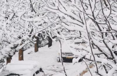 Lebanon: Heavy snowfall, gales as winter storm hits Middle East – Ya Libnan